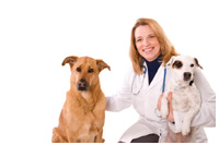 ExpertRating Online Veterinary Assistant Course - $129.99 - Training